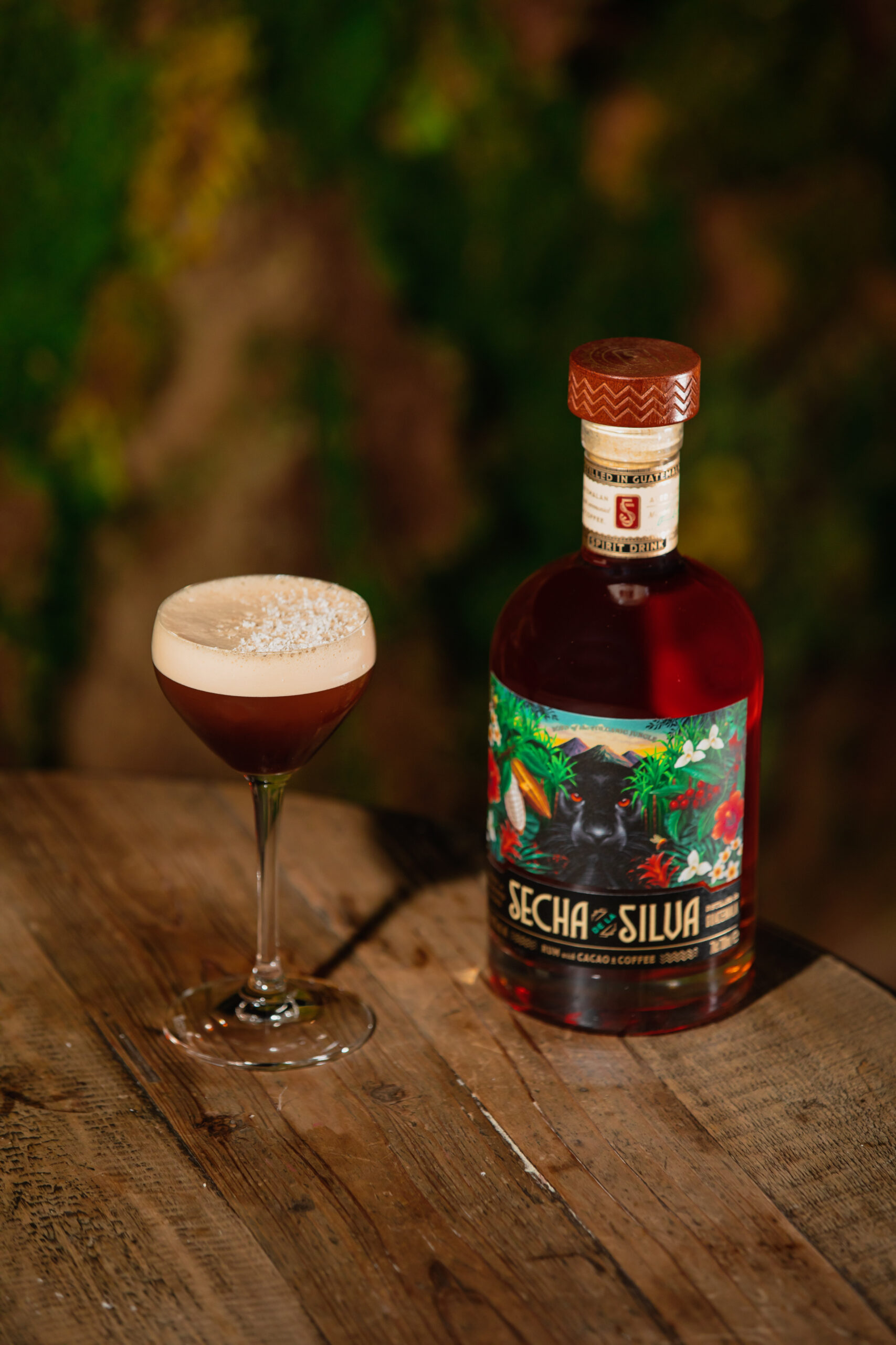 SECHA DE LA SILVA au pays des mayas - Luxsure