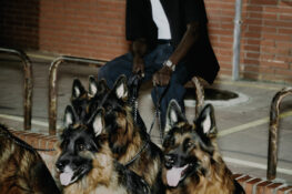 Le Klay ou le renouveau chic de la salle de sports à Paris - Luxsure